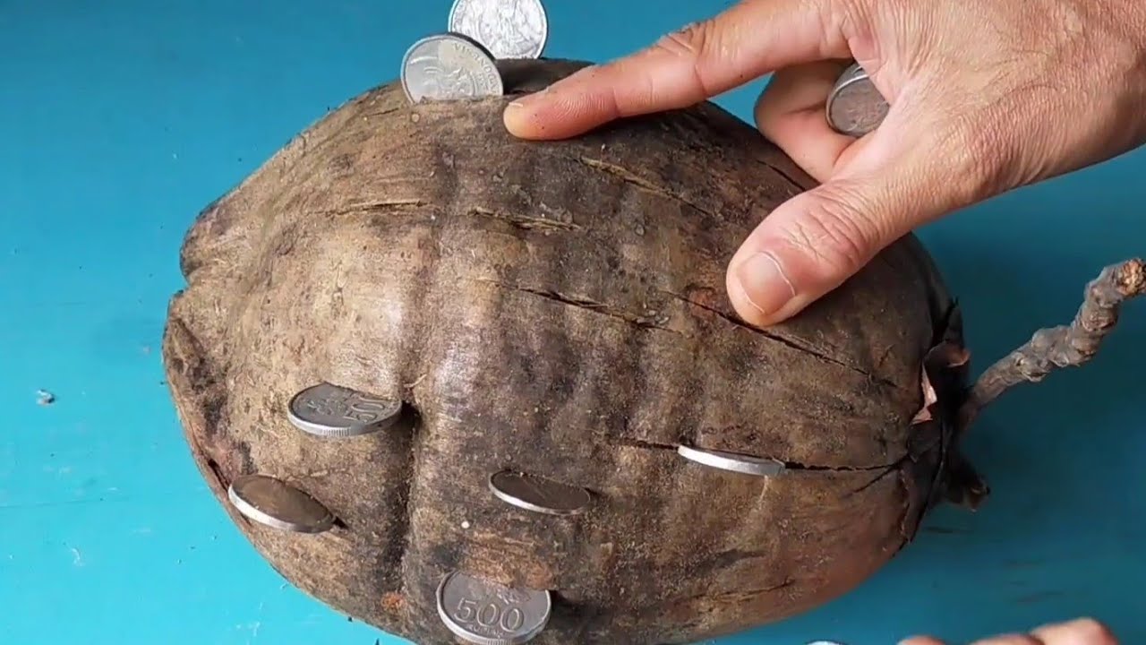 Woodturning - Turn coconuts into trophies - YouTube