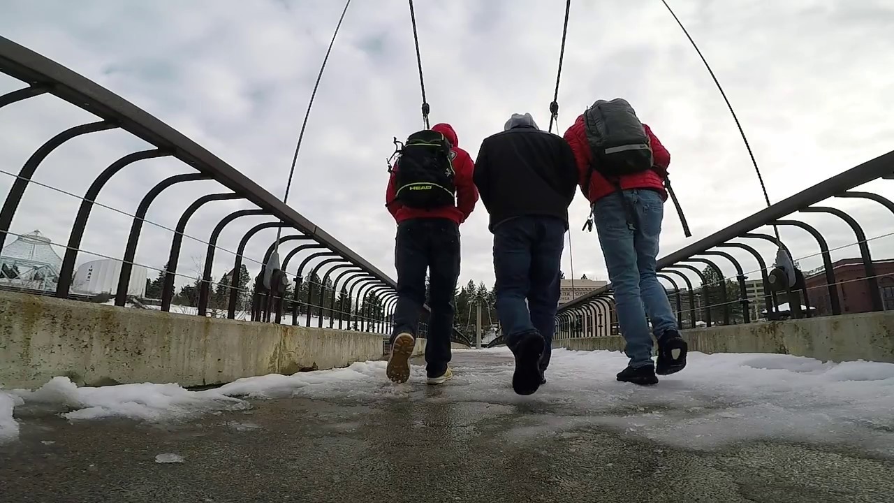 The Three Best Friends (Feat. The Great Chicken Debacle) - YouTube