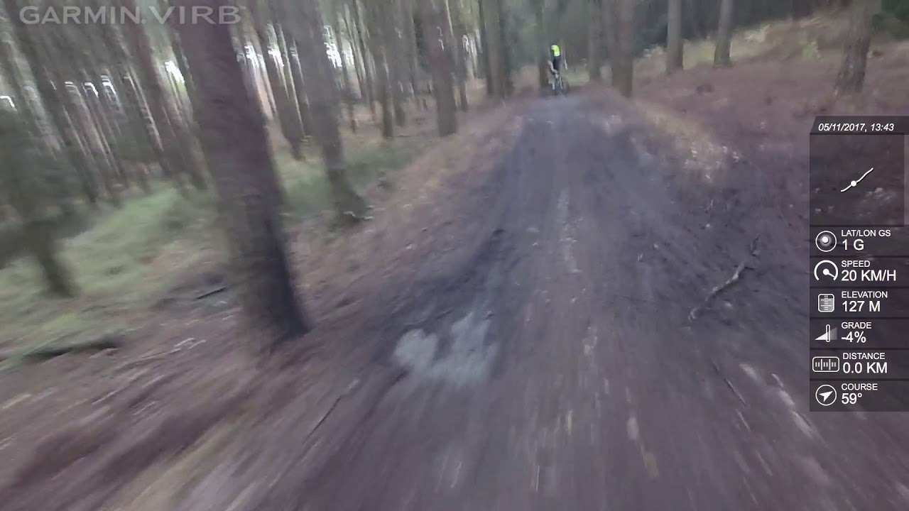 Swinley Forest MTB - Red 8 - jumps - YouTube