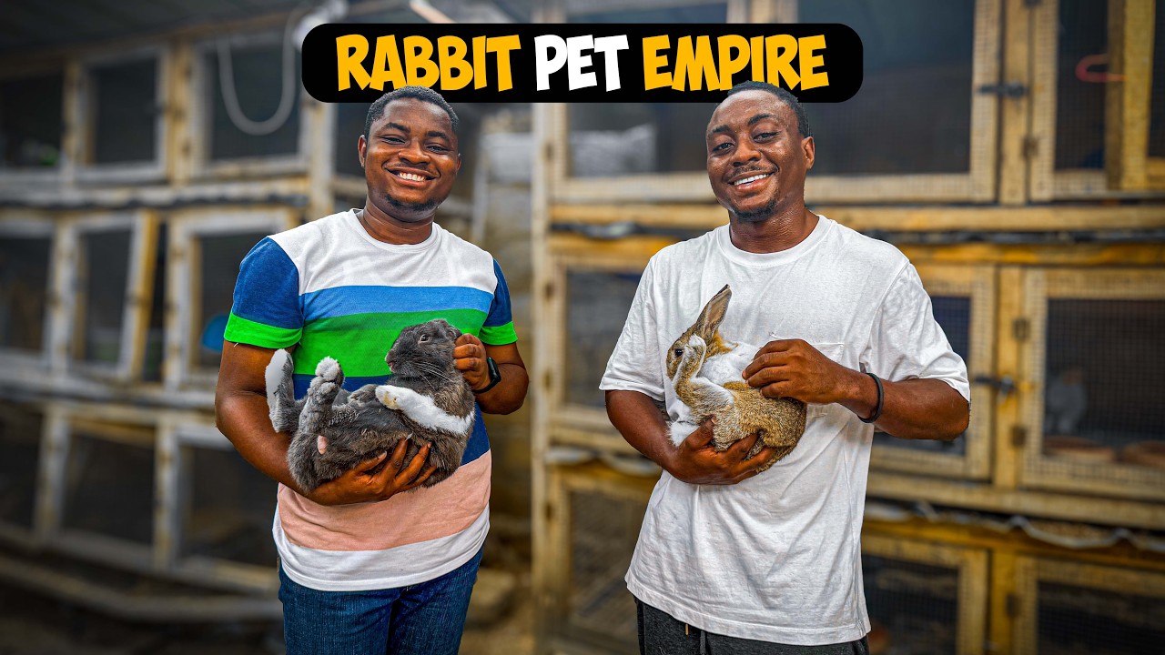 From Hobby To MILLIONS: How I Built a Ghanaian Rabbit Farming Empire in ...