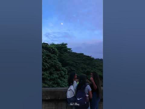 Akbar bridge | University of Peradeniya #shorts - YouTube