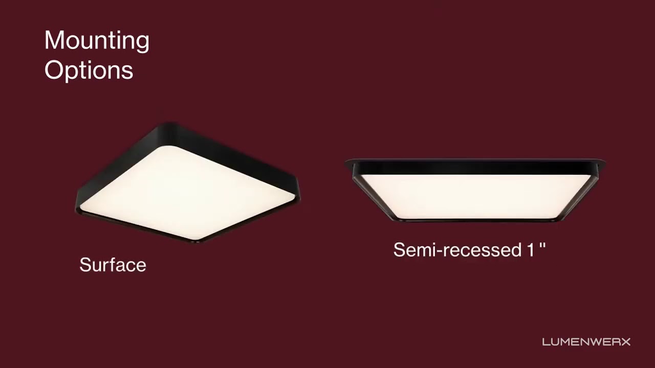 Lumenwerx: Meet the Shell Family - YouTube