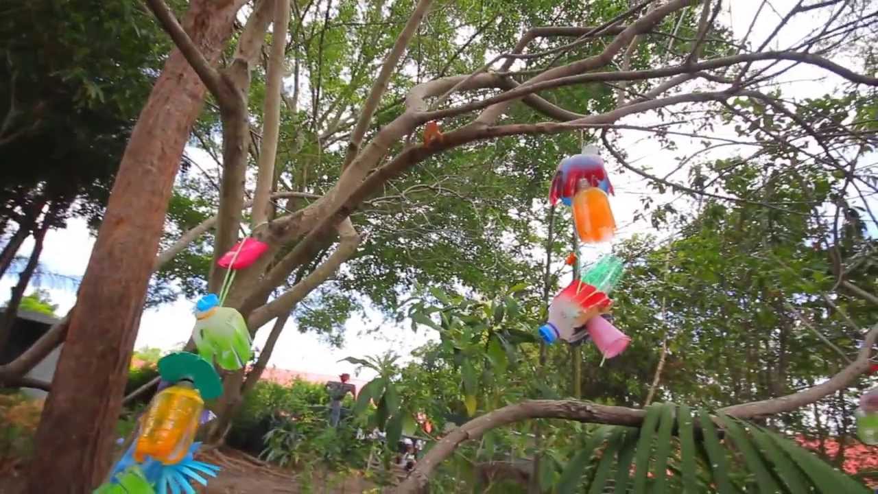TSS Prep School 'Rainforest' - YouTube