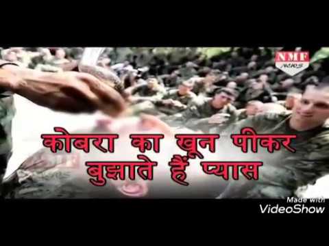 Indian Army Cobra Training - YouTube