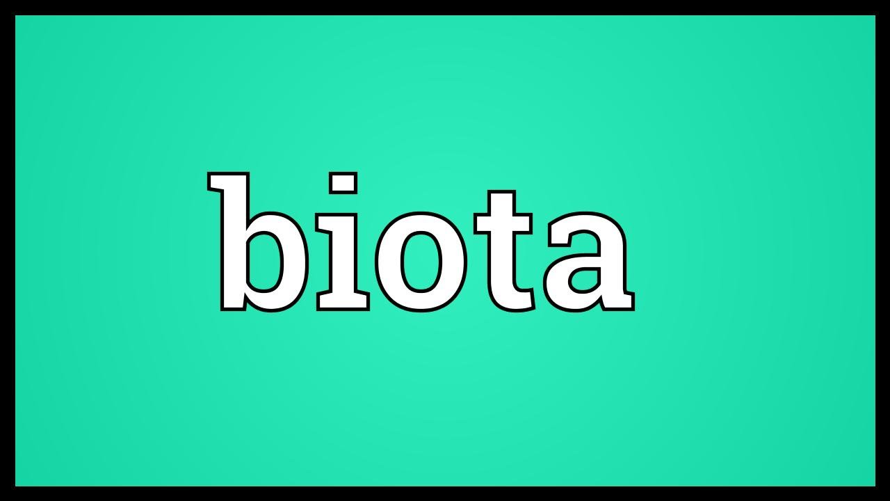 Biota Meaning - YouTube