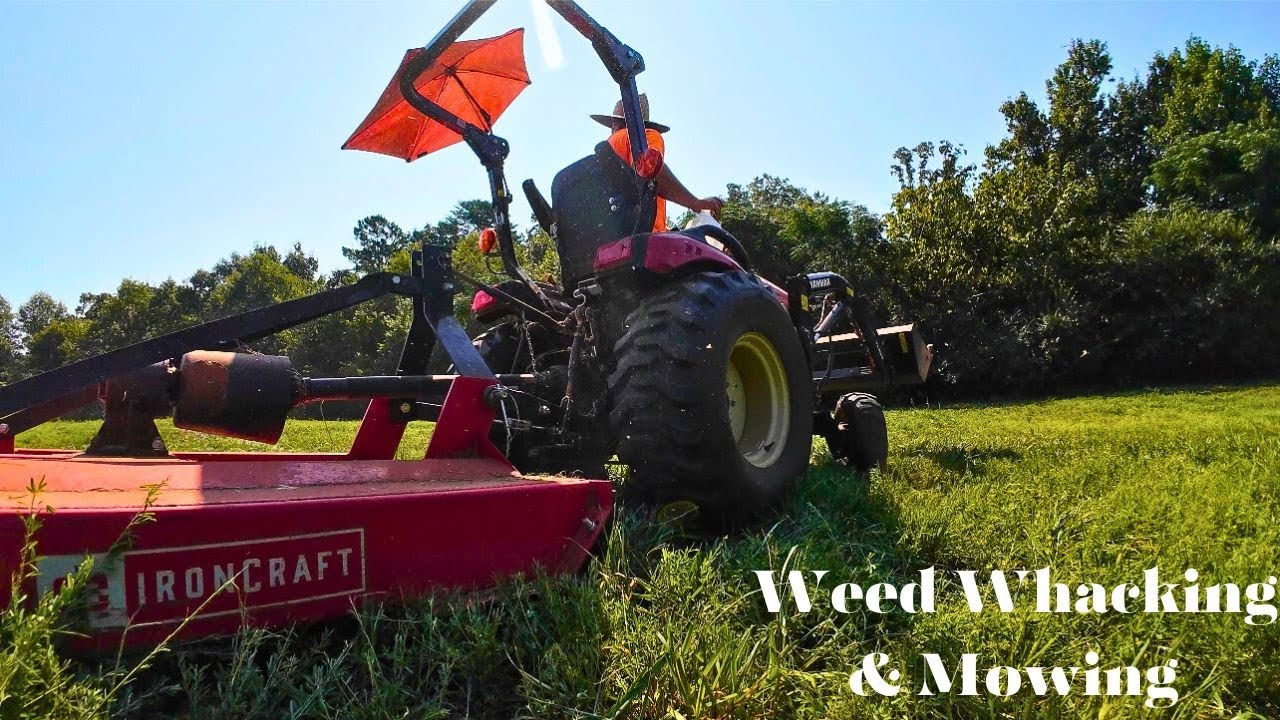 Weed Whacking & Mowing - YouTube