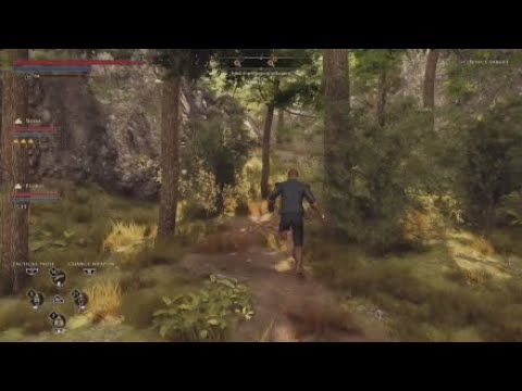 Greedfall : Find and Destroy Tenlan's Nest - YouTube