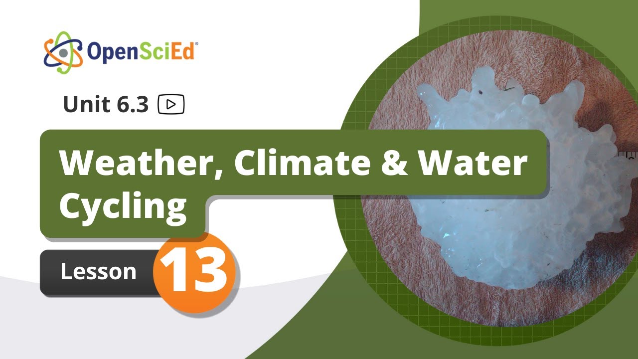 Unit 6.3 Lesson 13 | OpenSciEd On-Demand Resources - YouTube