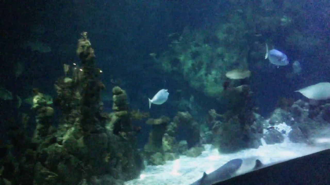 At the deep in hull #1 - YouTube