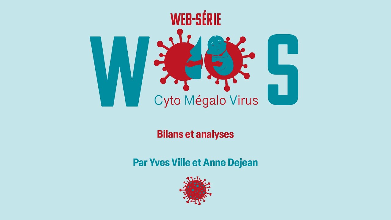 Vidéo 4 : Bilans et analyses - Pr Yves Ville et Mme Anne Dejean - YouTube
