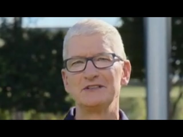 Matthew Guidera's Instagram, Facebook & TikTok on IDCrawl