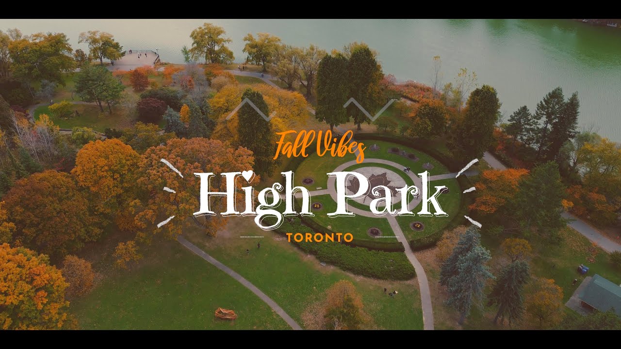 Autumn in Toronto: Stunning Fall Colors at High Park 🍁🍂 - YouTube