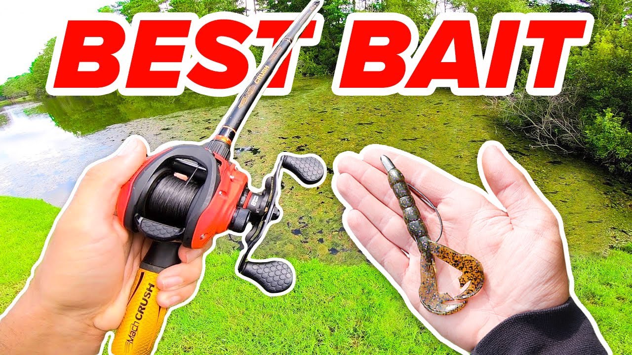 THROW THIS BAIT & Catch MORE Bass (Bass Fishing Tips) - YouTube