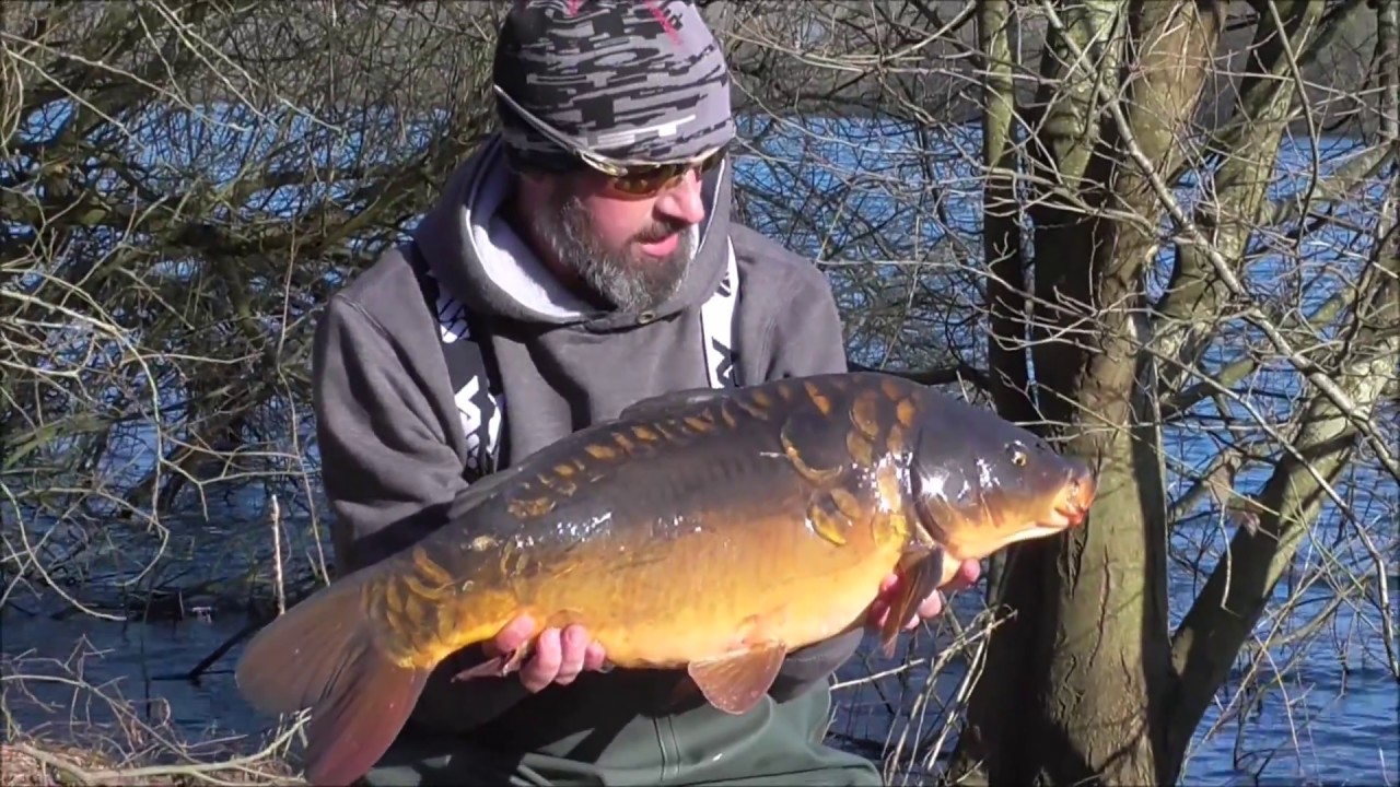 CWA Fisheries Roach Pit - 2018 Winter Carp Stocking! - YouTube