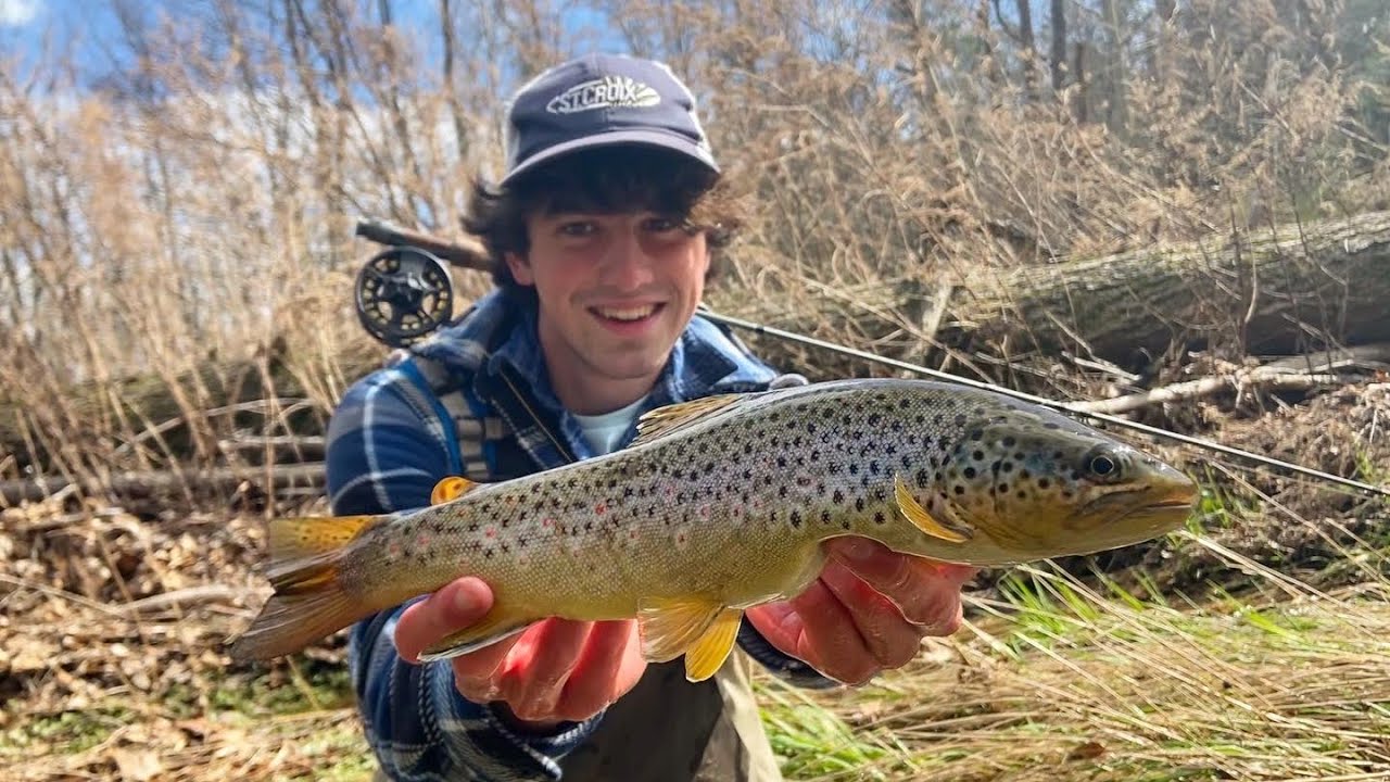 Adventuring for Wild Browns Right off the side of the HIGHWAY!! (Full ...