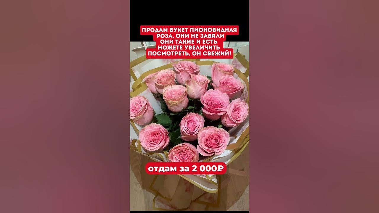 Все объявления с номерами у меня на статусе сохрани номер 89286461154 #чечня #дагестан # ...