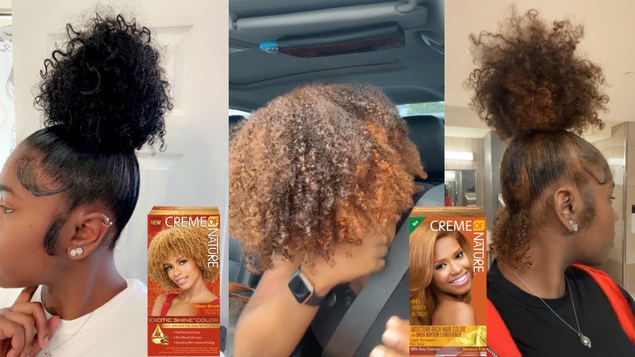 dying my natural hair from black to honey blonde/brown without bleach ...