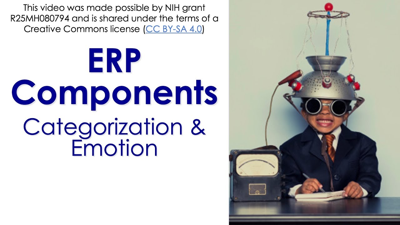 ERP Components 7- P3 and LPP - YouTube