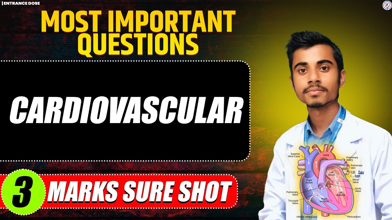 Cardiovascular System Important Questions For Cee😲| All Important Past ...