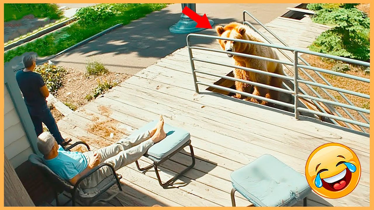 Best Funniest and Fails Video 😂 Watch This Video in Full And TRY NOT TO ...