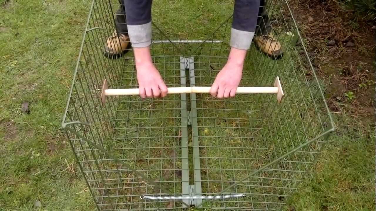 Large Larsen Mate - www.uktraps.co.uk - YouTube