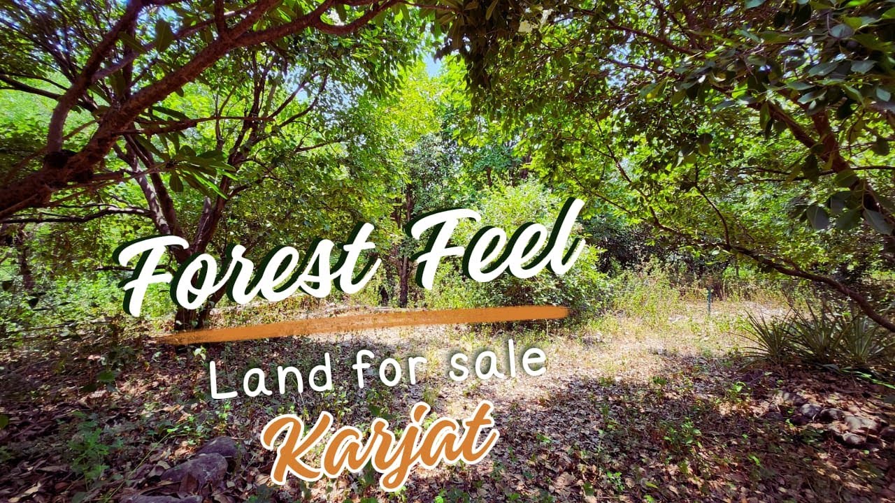 Forest feel land for sale in Karjat 📲 9773181911 - YouTube