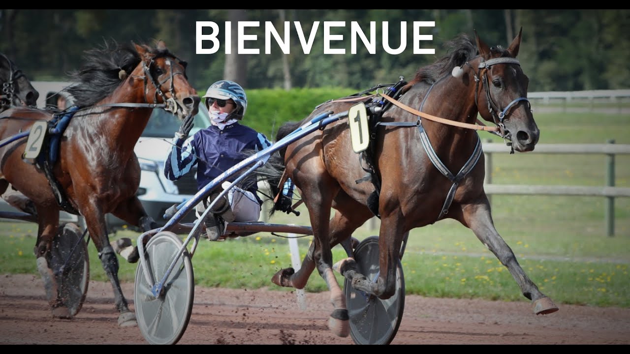 Mes 24 astuces pour mieux jouer au quinté, être un meilleur turfiste ...