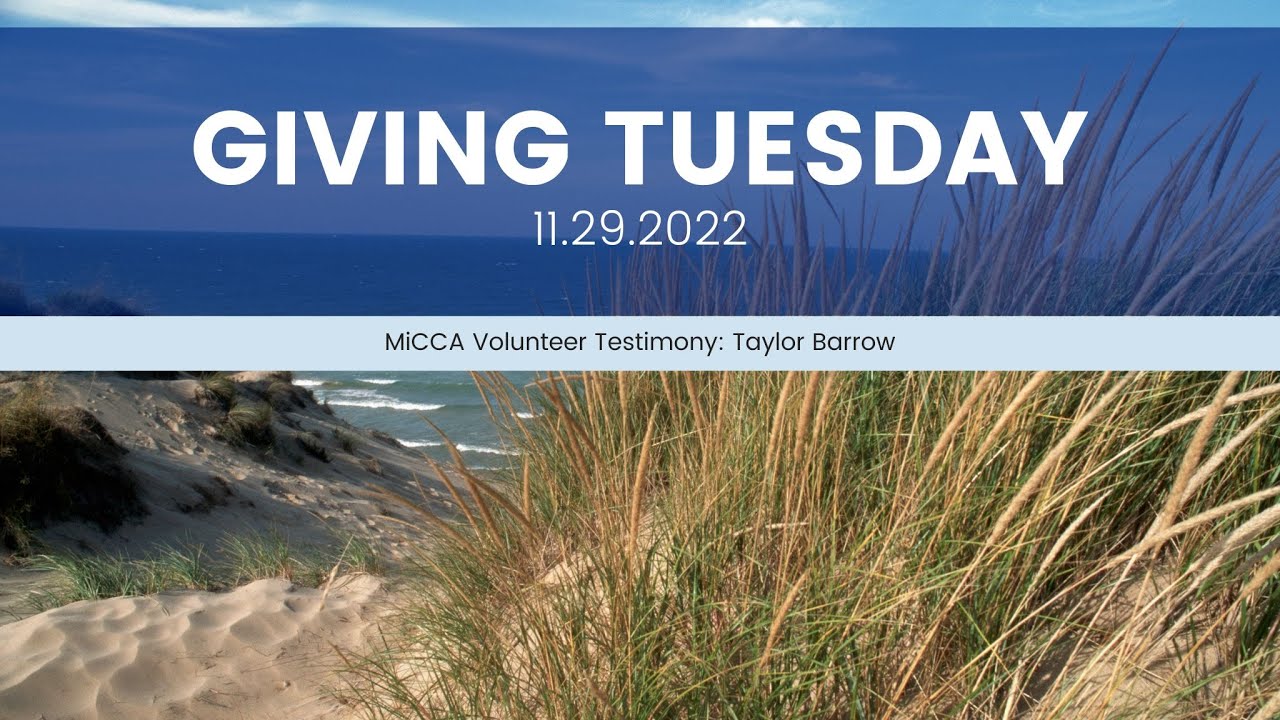 MiCCA Volunteer Testimony | Taylor Barrow - YouTube