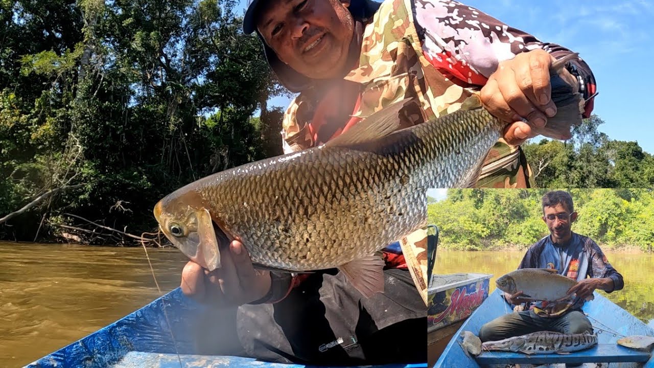 Como cansar y sacar un yamu desde un bote pesca de bagre rayado pirañas ...