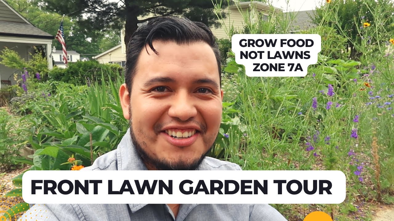 Front Lawn Permaculture Garden Tour: Grow Food Not Lawns: Zone 7a ...