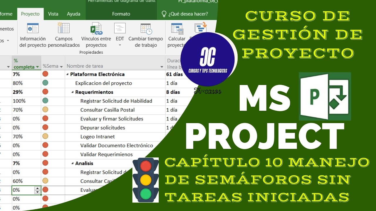 🚦 SEMÁFOROS en Microsoft PROJECT 🚦 Capítulo 10 /11 Identificando tareas ...