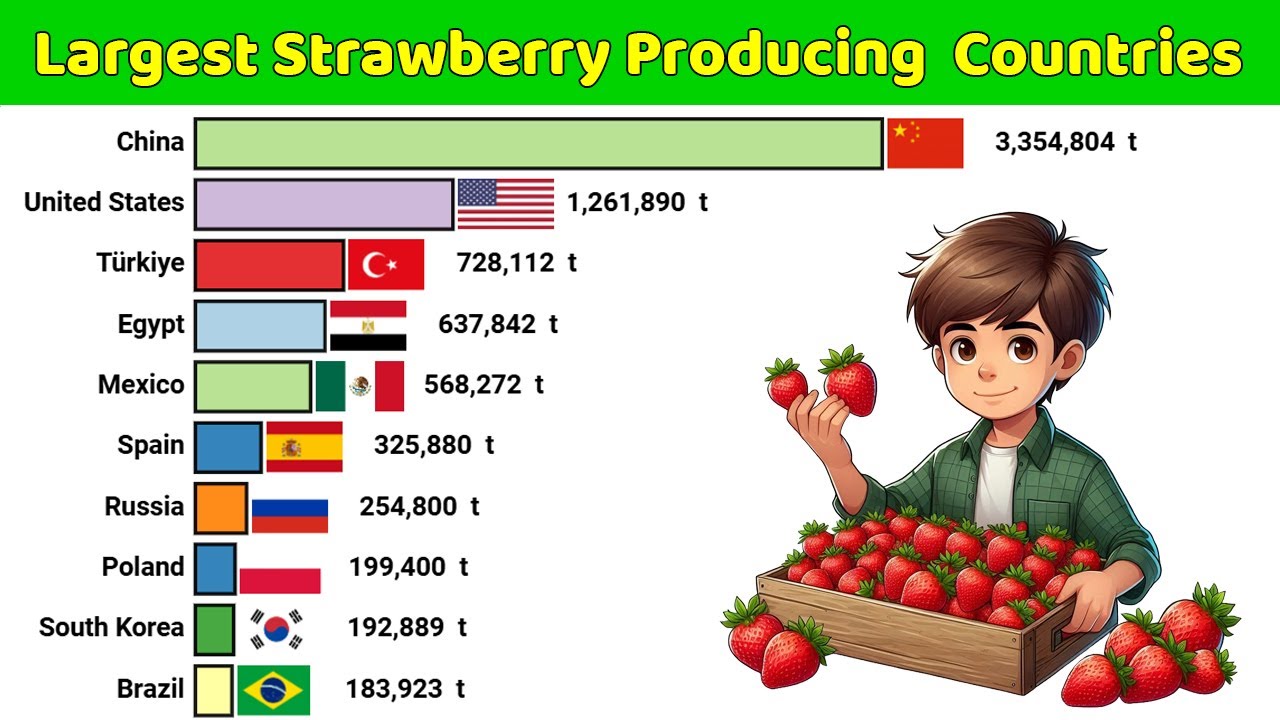 Largest Strawberry Producing Countries in the World - YouTube