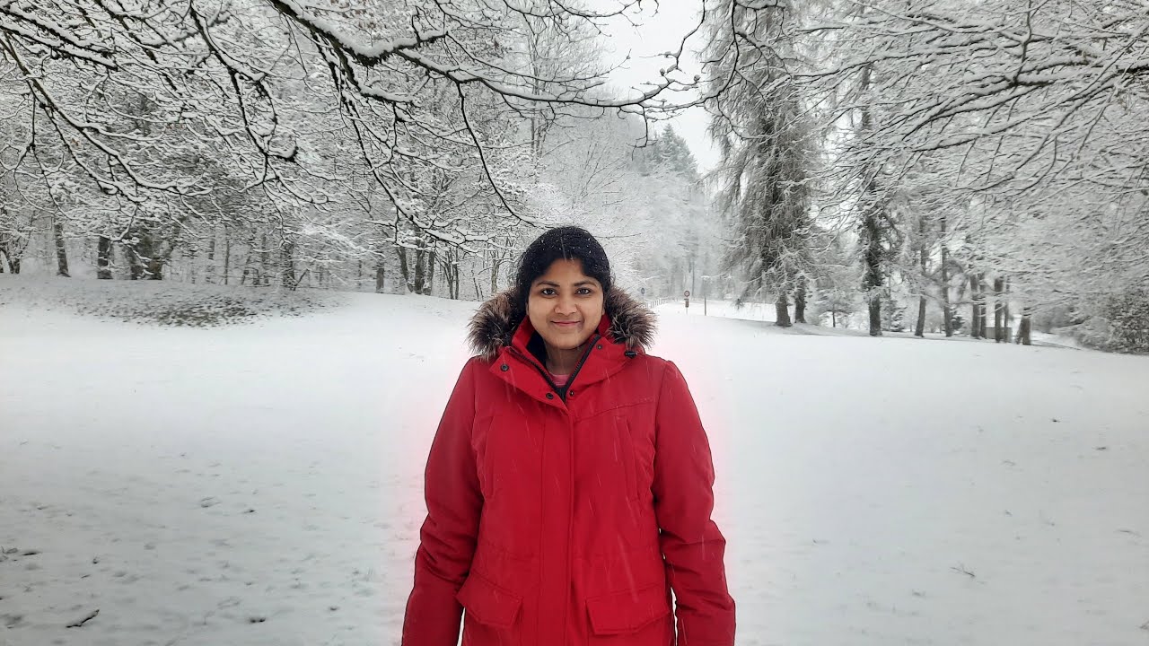 Heavy snowfall in Switzerland || Snowfall in Zurich || Zurich snowfall ...