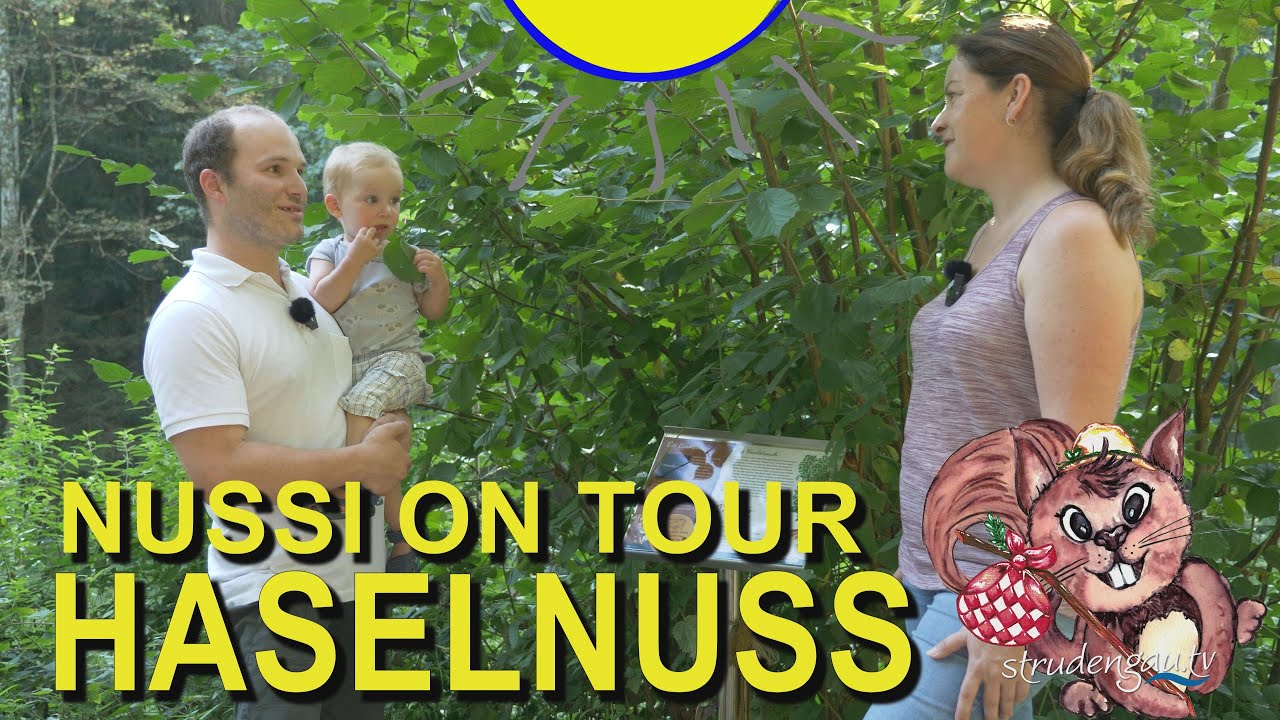 DIE HASELNUSS | NUSSI ON TOUR | STRUDENGAUER LEBENSPAUER | DER BAUMPATE ...