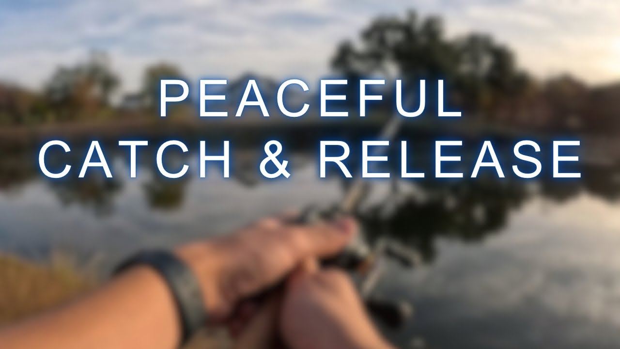 Chill Bass Fishing - YouTube