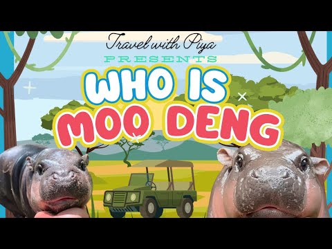 Meet Moo Deng: Thailand's Adorable Baby Hippo Stealing Hearts Worldwide ...