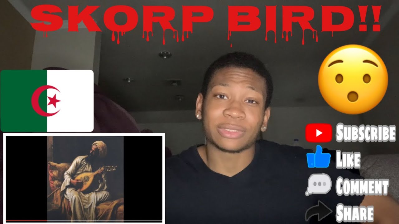 AMERICAN REACTION TO ALGERIAN RAP SKORP - BIRD - YouTube