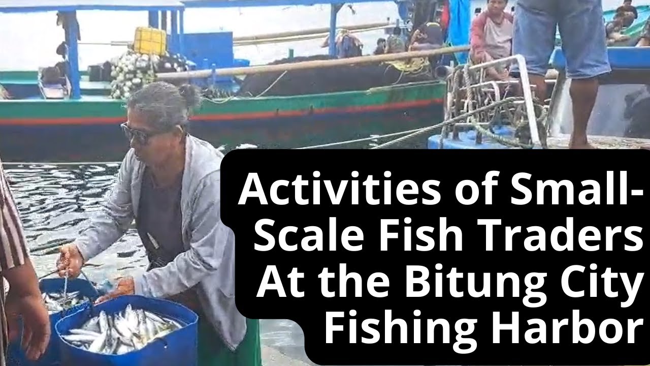 "Activities of Small-Scale Fish Traders at the Bitung City Fishing ...