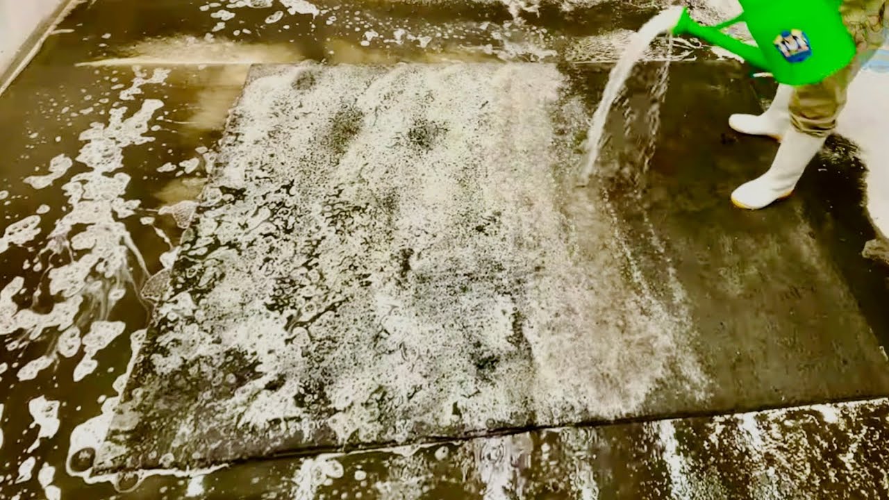Satisfying ASMR Carpet Cleaning | From Grime to Shine - YouTube