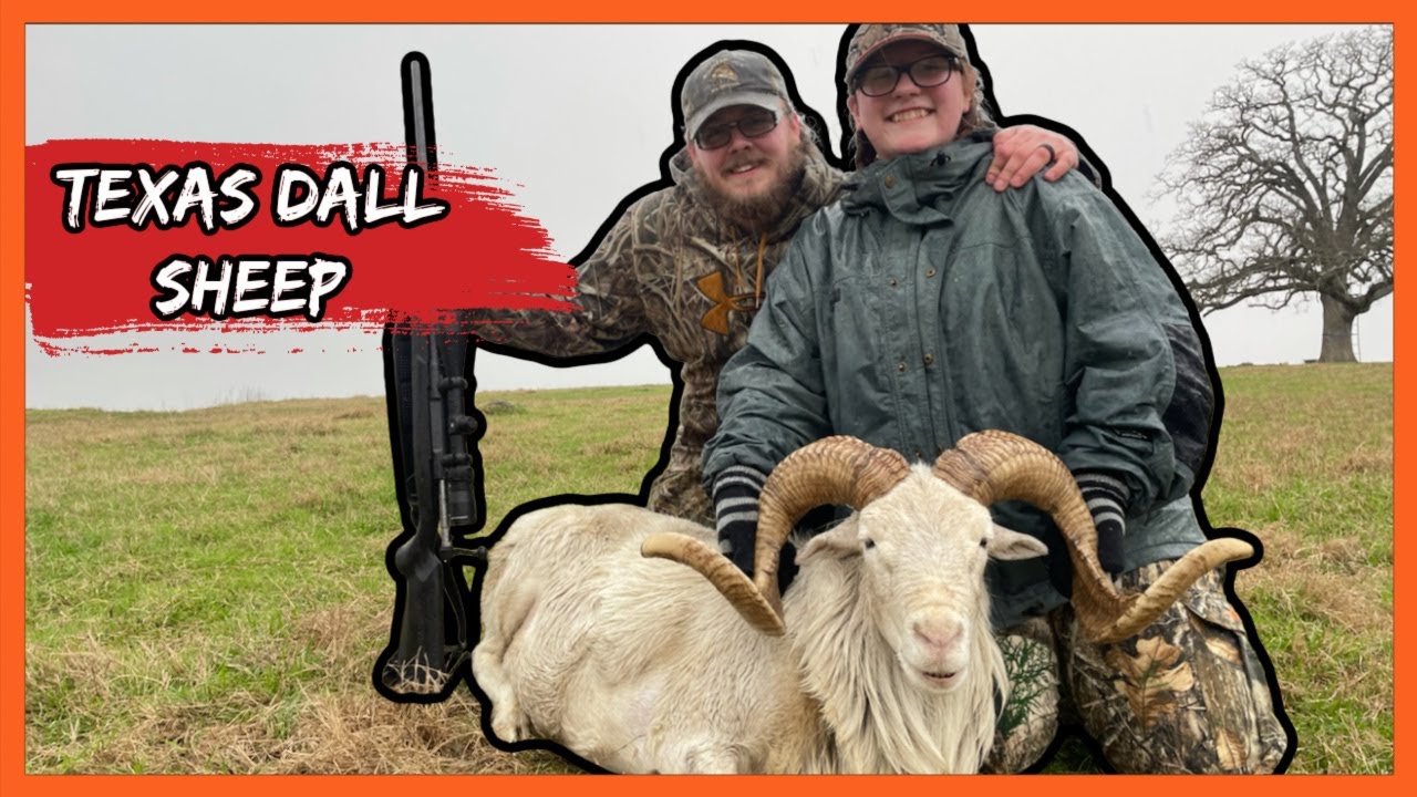 Honeymoon Hunt | Texas Dall Sheep - YouTube