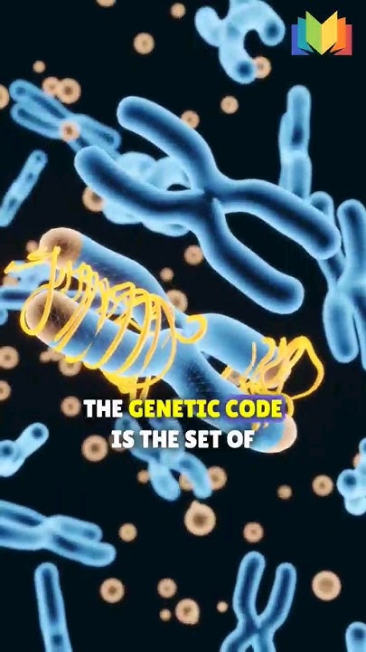 Genetic Code - YouTube