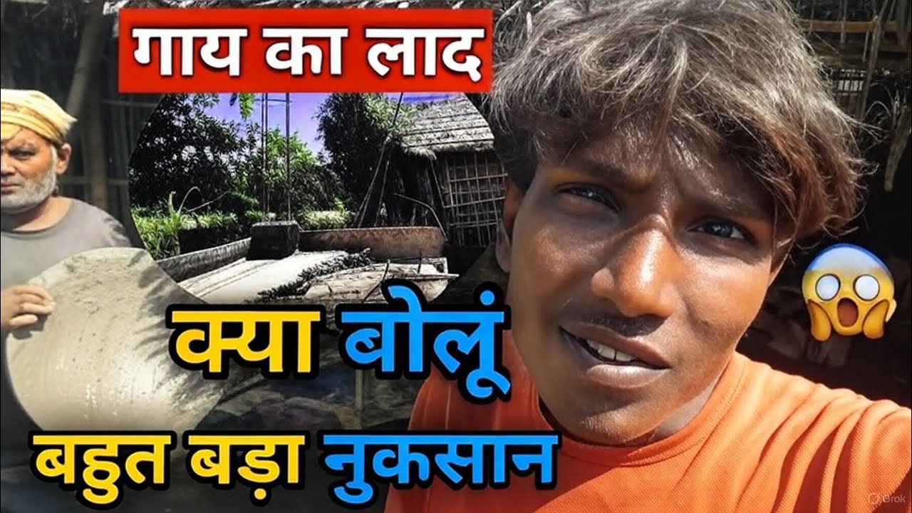 गाय का लाद बना रहे थे। बहुत बड़ा नुकसान । gaay ka laad bana rahe the ...