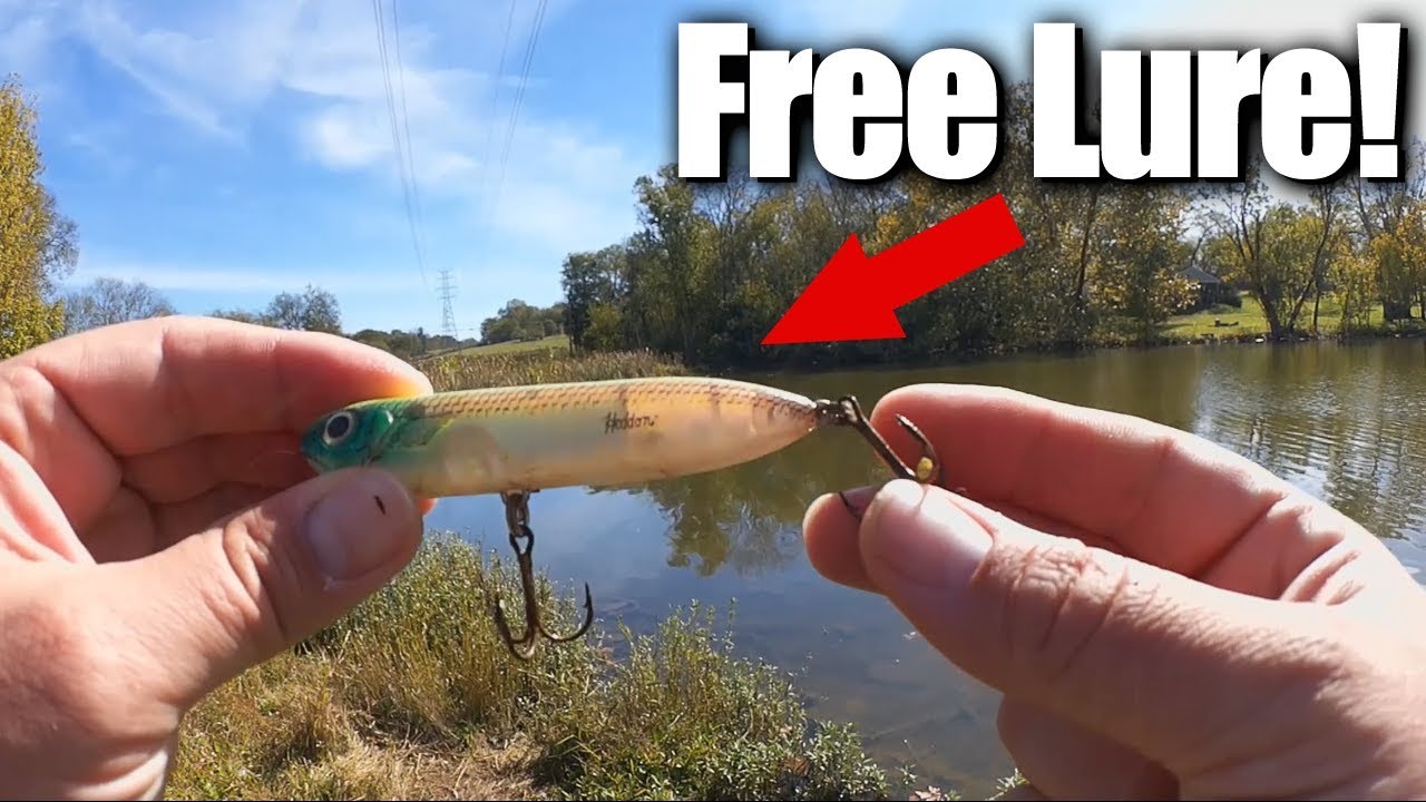 Realistic Fall Bass Fishing - Catching Bass, Snags, Line, and Lures ...