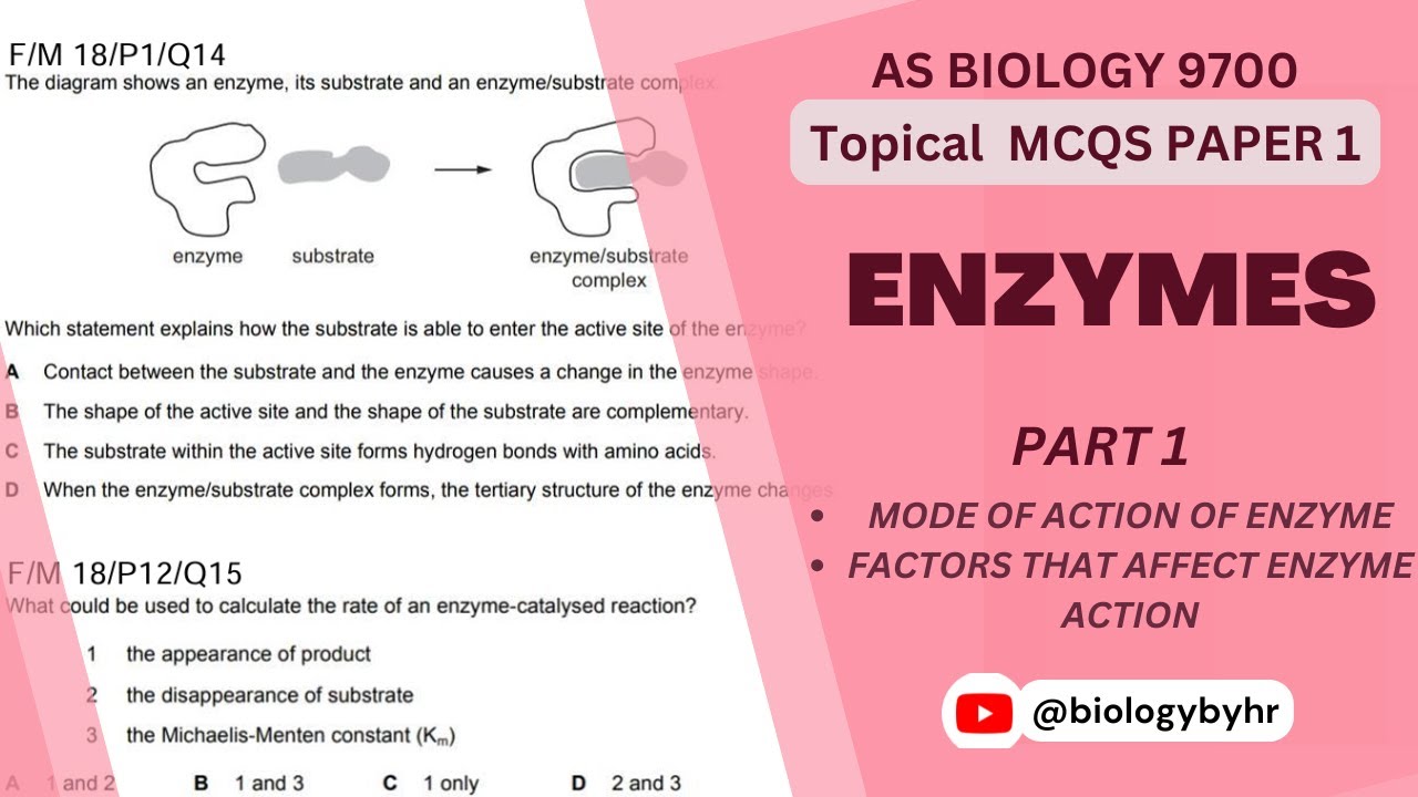 Enzymes | Topical MCQs Paper 1 | Part 1 | AS BIOLOGY 9700 ...