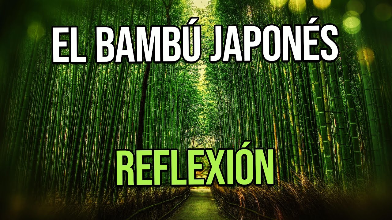 REFLEXIÓN - EL BAMBÚ JAPONÉS, Reflexiones Diarias, Positivas, Cortas ...