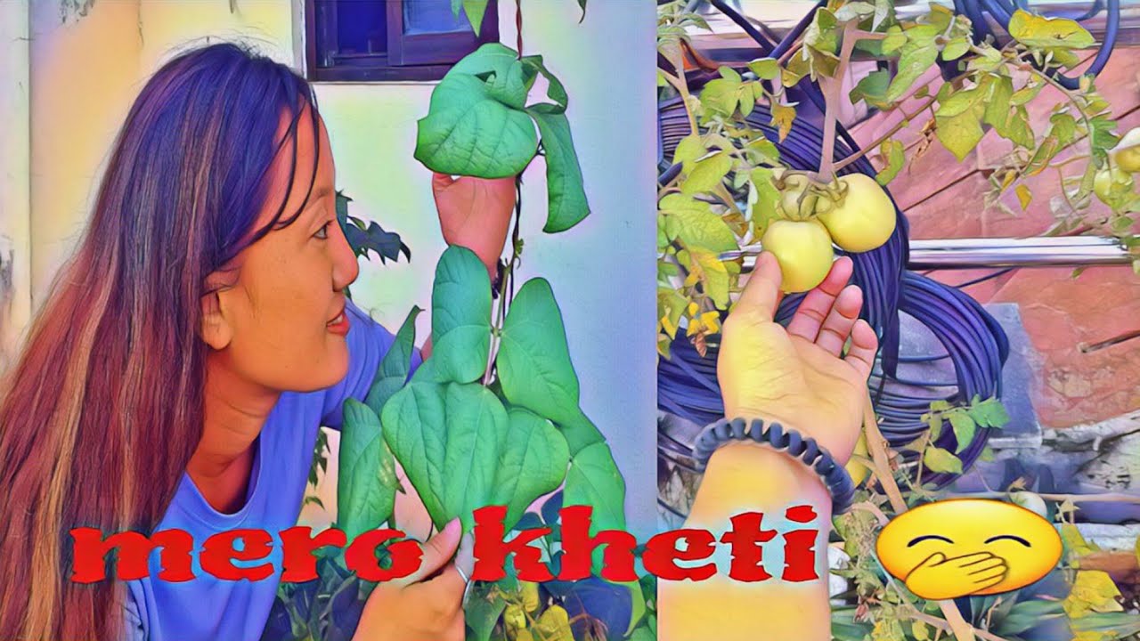 Maile gareko kheti😘// rahar lagxni ta malai 😂// rubina rai - YouTube