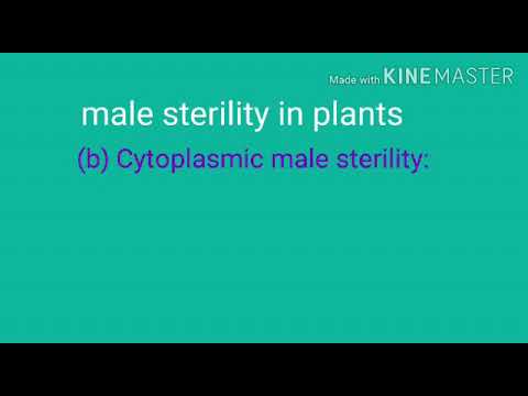 cytoplasmic genetic male sterility - YouTube