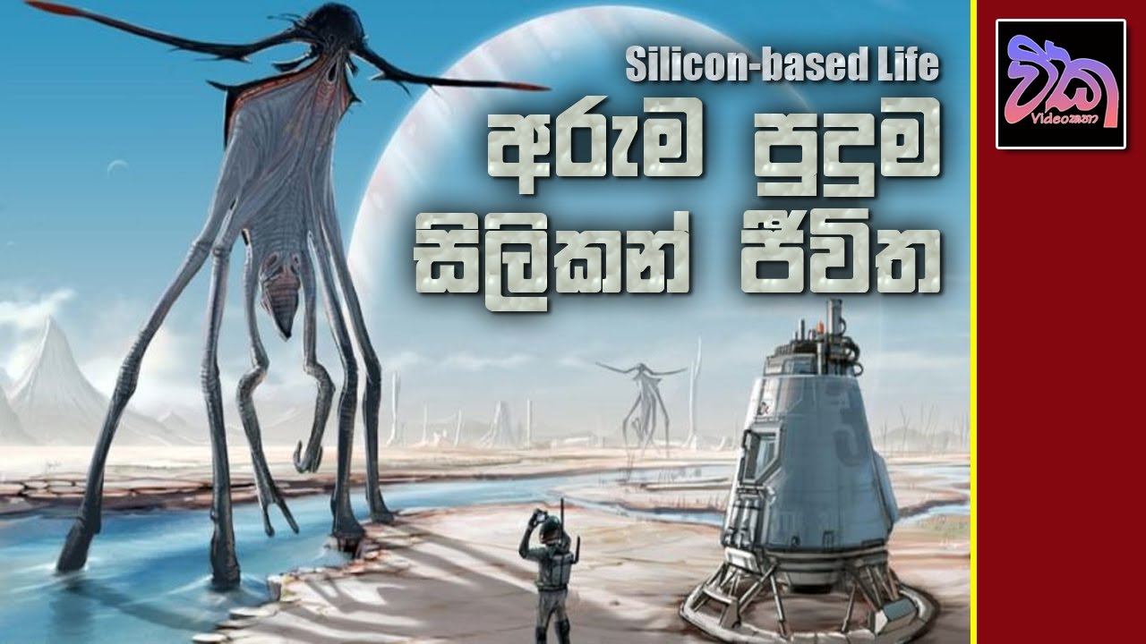 Silicon-Based Life සිලිකන් ජිවිත - YouTube