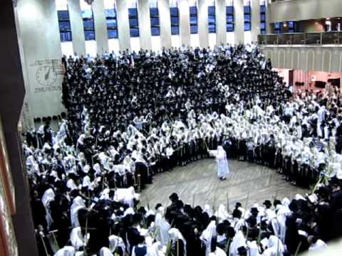 b'chatzar bobov (48), c"k admor m'bobov tishrei hoshana rabah 5773 ...