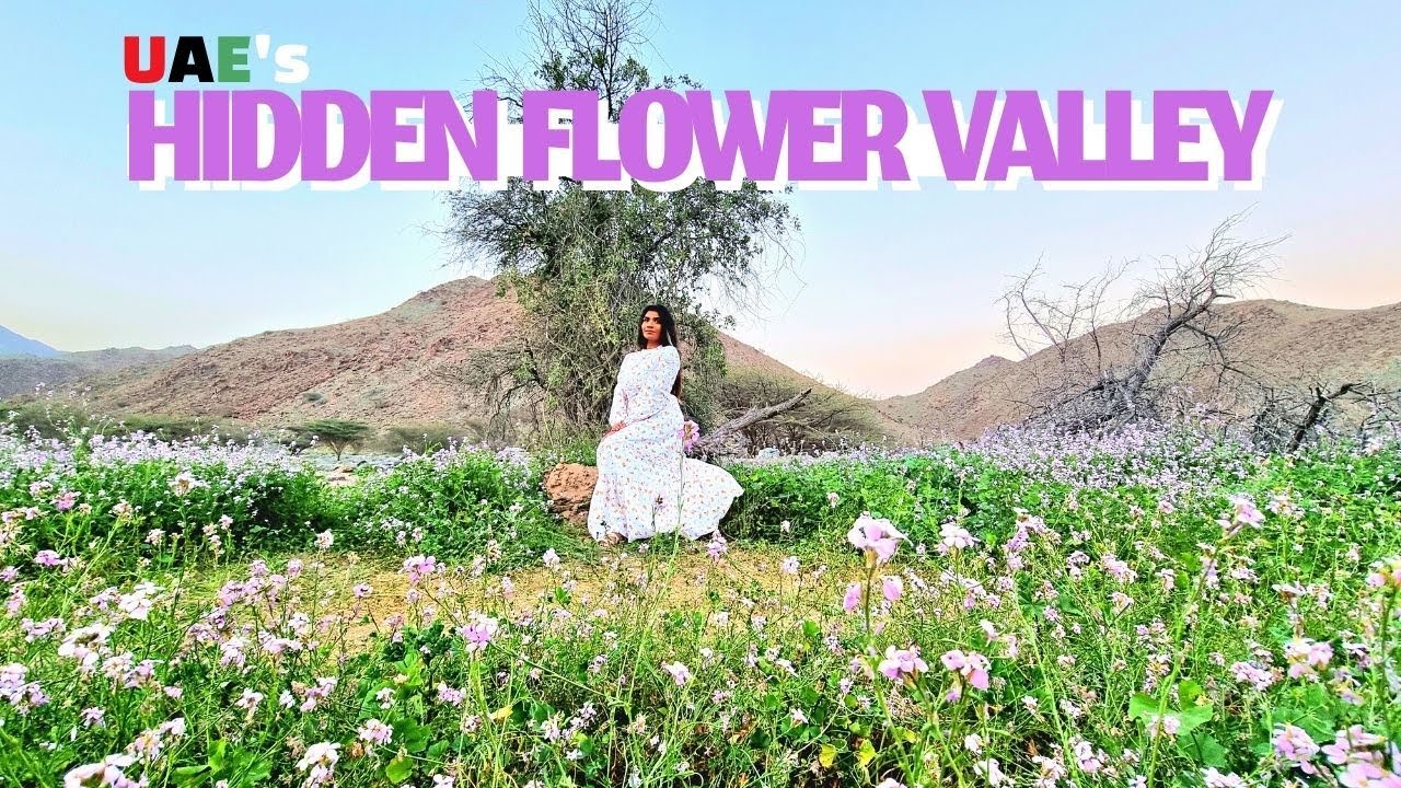 🌼Magical Flower Valley in UAE 🇦🇪 | ⌛ MUST VISIT BEFORE IT'S GONE | 📍Ain ...